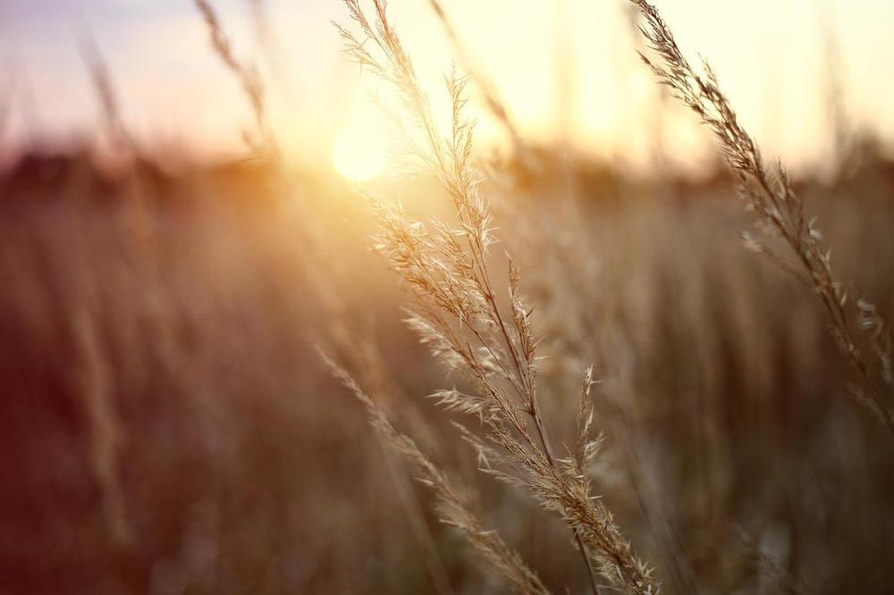 Najlepši citati o najšarenijem godišnjem dobu: Jesen je kao smešak, pun ...