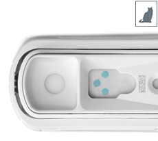 La FIV o immunodeficienza virale felina