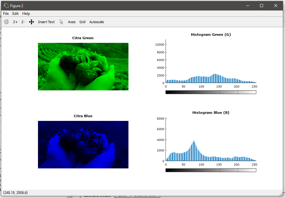 TUGAS MATA KULIAH DATA MINING: Pengolahan Citra Digital menggunakan OCTAVE