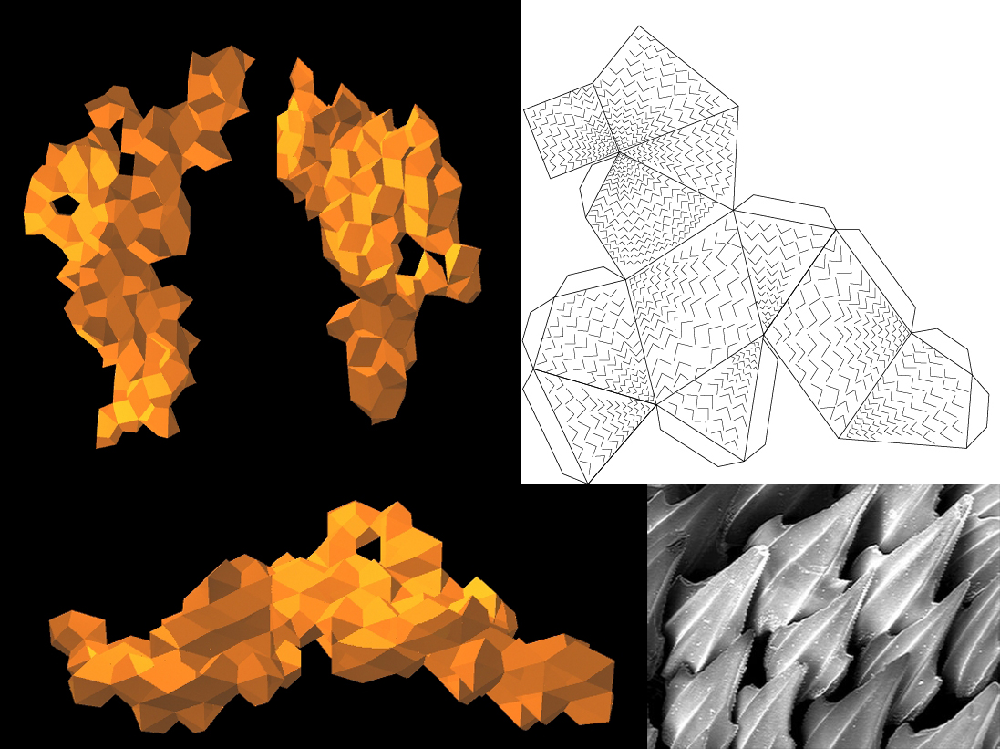 Apophenic Ecologies: Sivasangari_Achim Kolba_John Lindner-Bisymmetric ...