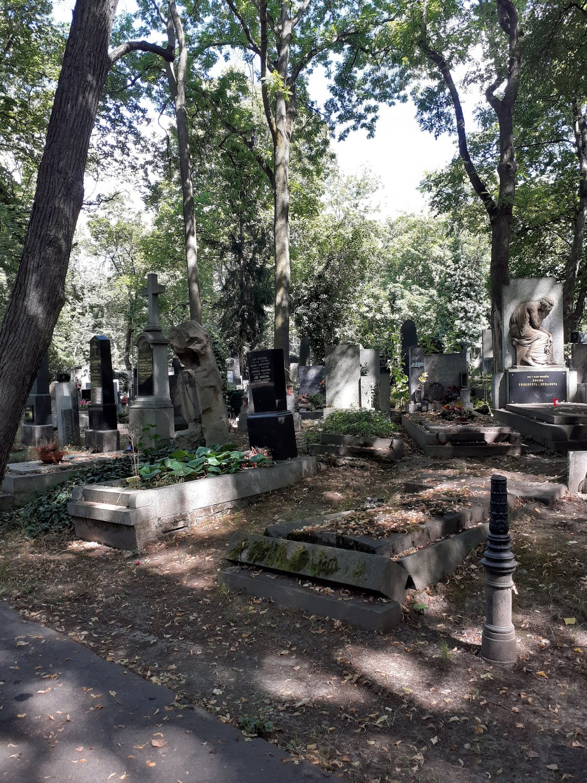 Sister Brylee Lewis: "Chicken Nuggets, Grand McSundae and Alcohol"