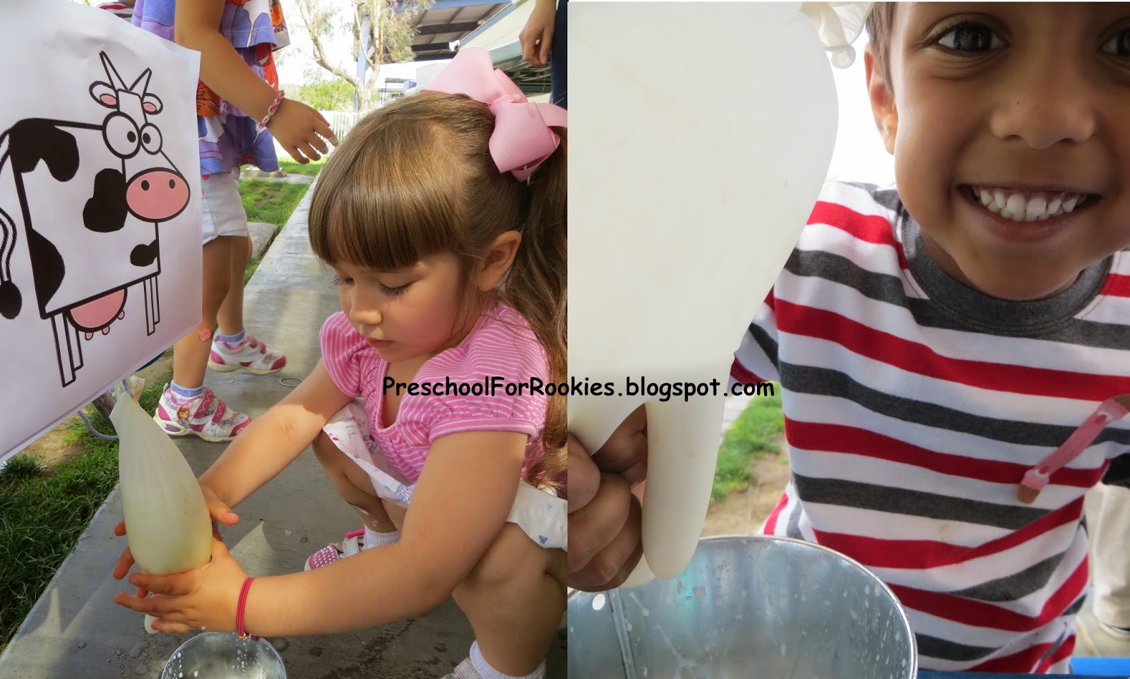 Preschool For Rookies: How to Milk a Cow