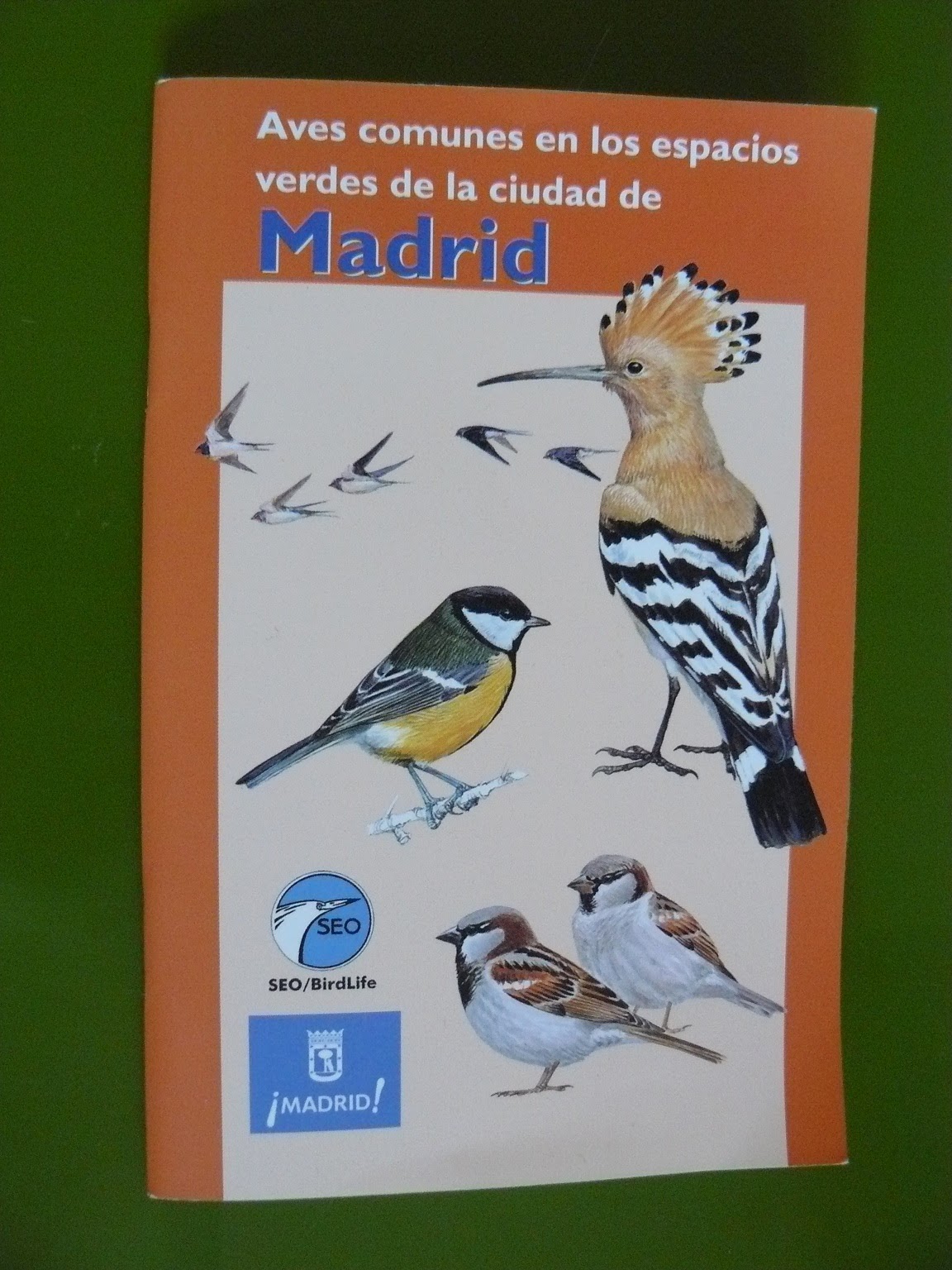 EL ZENOBITA: ¿Cuál es la mejor guía de aves?