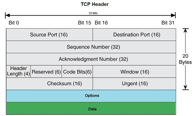 TCP Header Details