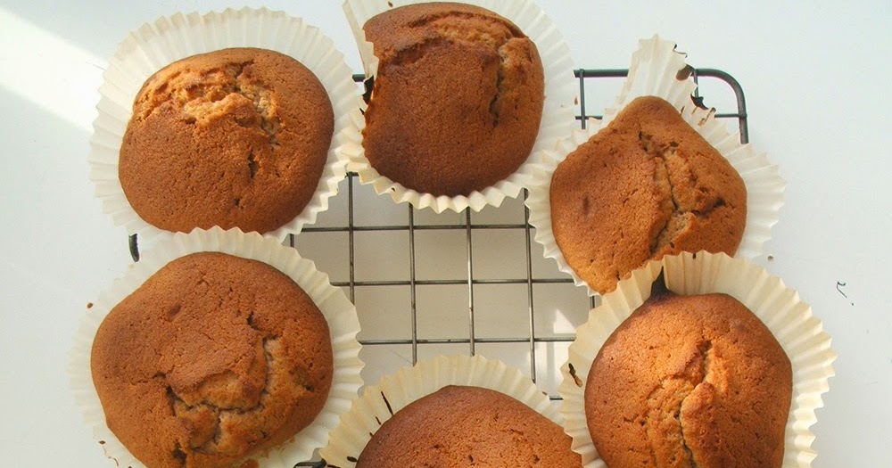 Me, You and Magoo: Double choc muffins