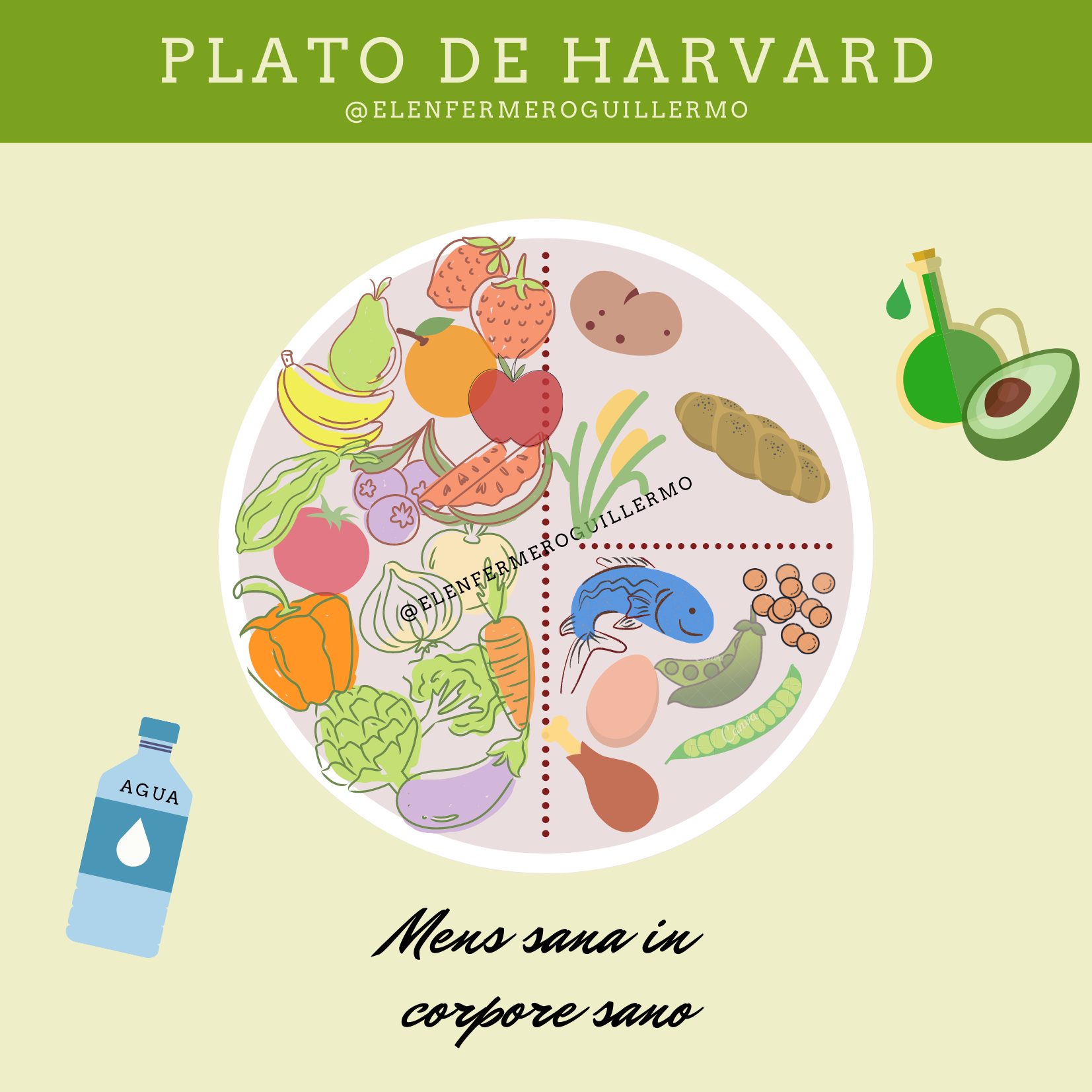 PLATO DE COMER SALUDABLE DE HARVARD
