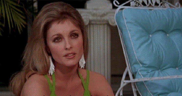 my new plaid pants: Everything You Ever Need To Know About Life...