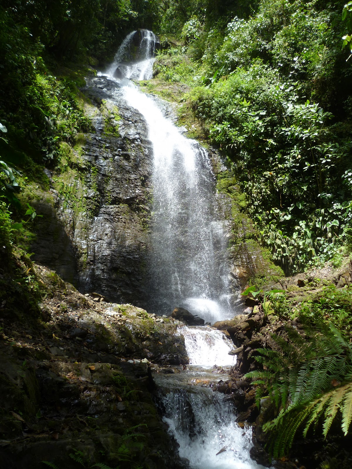Cascadas