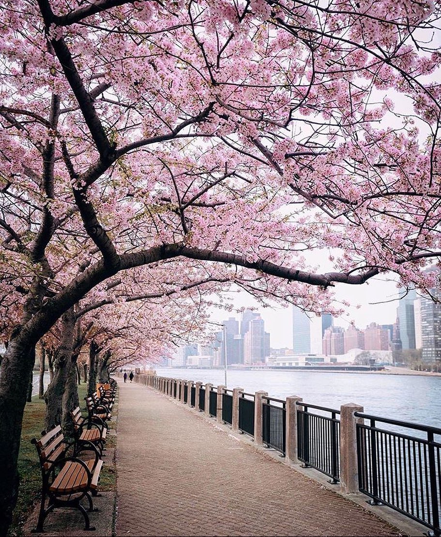 Color Rosa Pastello & Fiori Per La Primavera {Pink, Pastels & Flowers ...