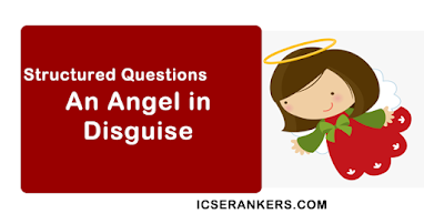 Questions Answers of An Angel in Disguise by T.S. Arthur From Treasure ...