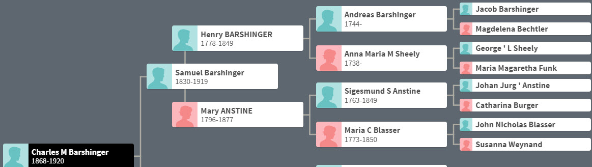 The Ultimate Family Historians: The identity of Jacob Bertschinger ...