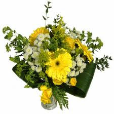 Lets see what are the meanings of yellow Flowers in flower's language ...