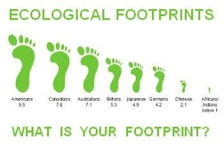 What is Your Ecological Footprint? | thegreenmarketoracle