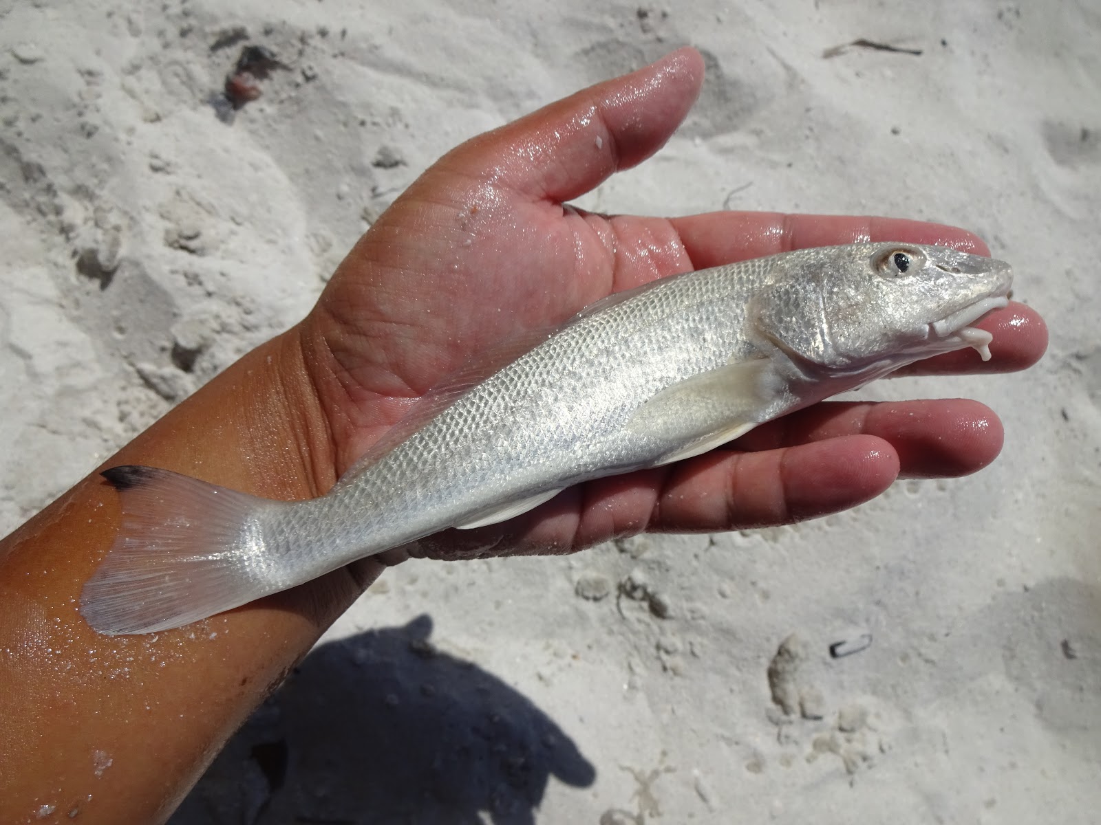 Extreme Philly Fishing