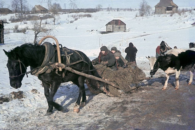 World War II in Color: Severe Winter in Russia 1941-42