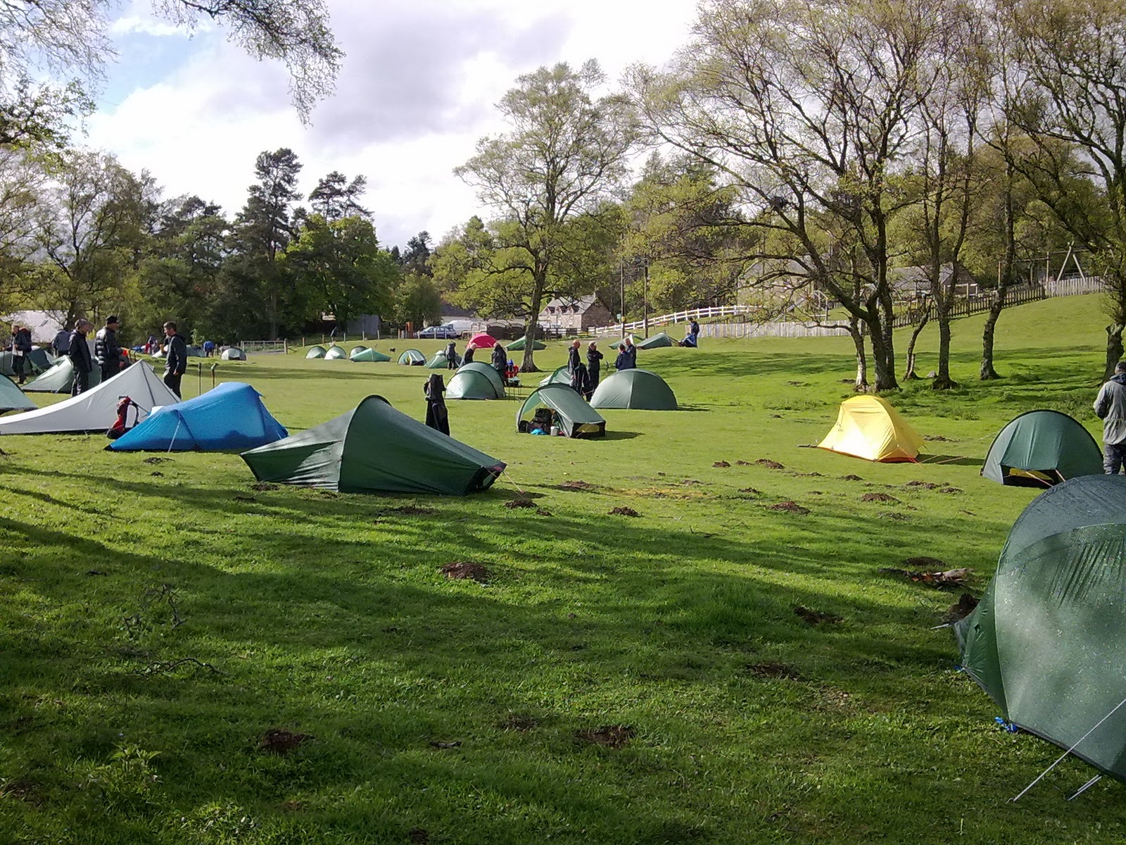 Is Anyone Out There?: Solo TGOC 2009