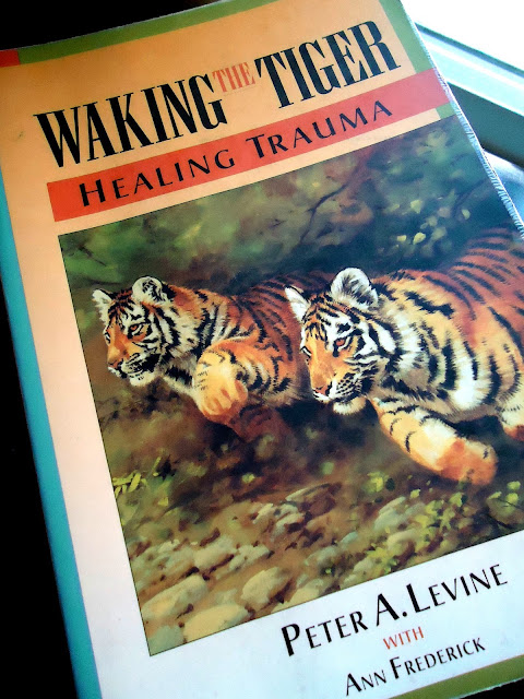 CuriCura: Trauma Tiger: Part One