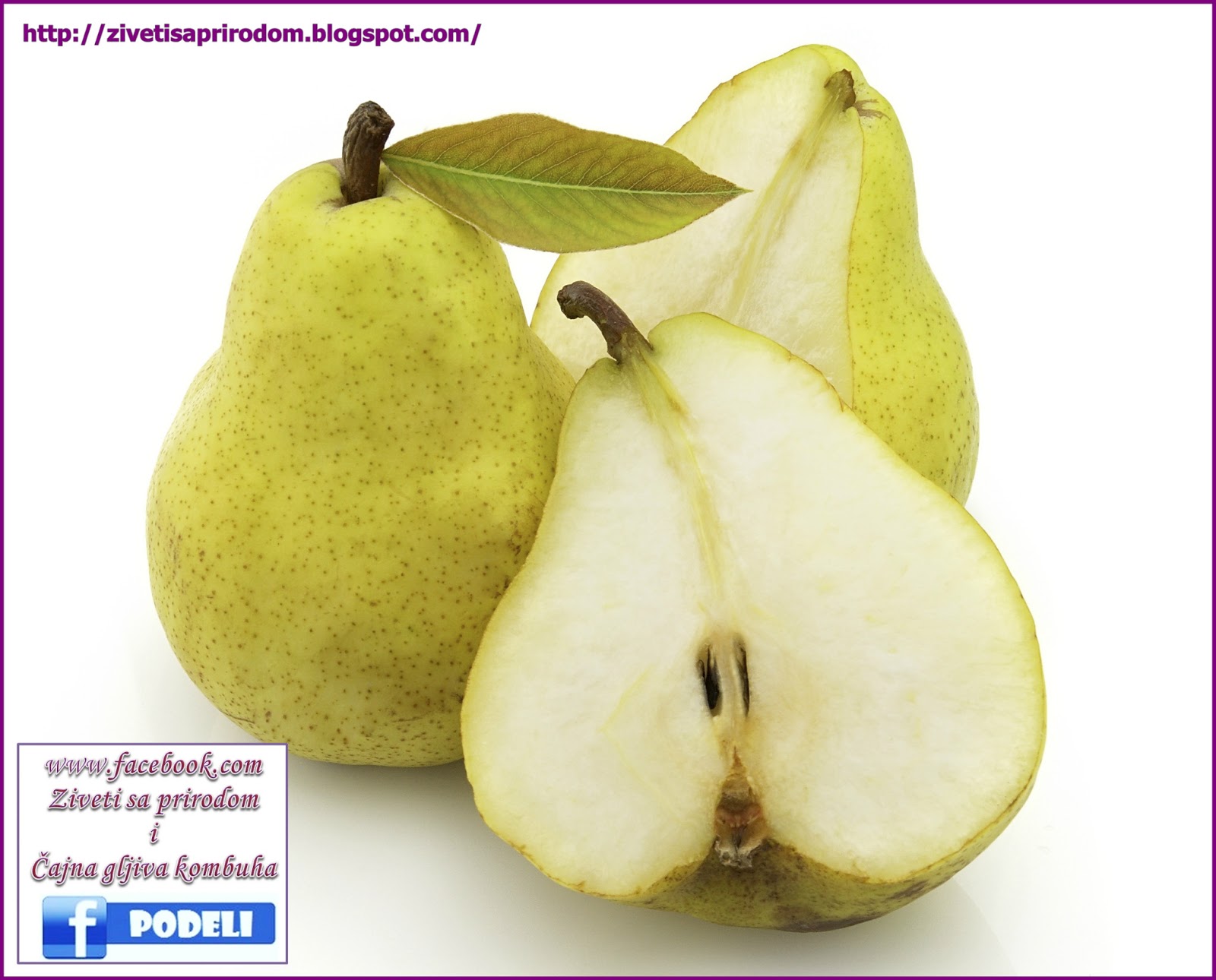 Ziveti sa Prirodom: Kruska