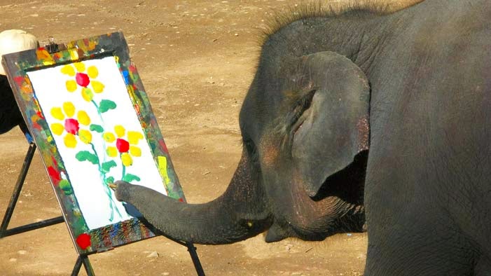 BIOSFERA: La inteligencia animal