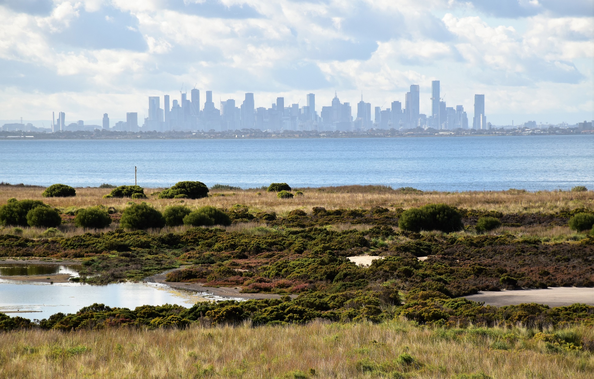 Goin' Feral One Day At A Time: Point Cook Walk, Point Cook Coastal Park ...