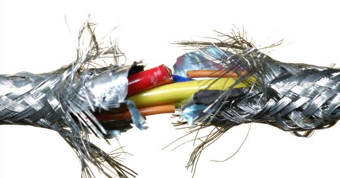 Científicos Curiosos