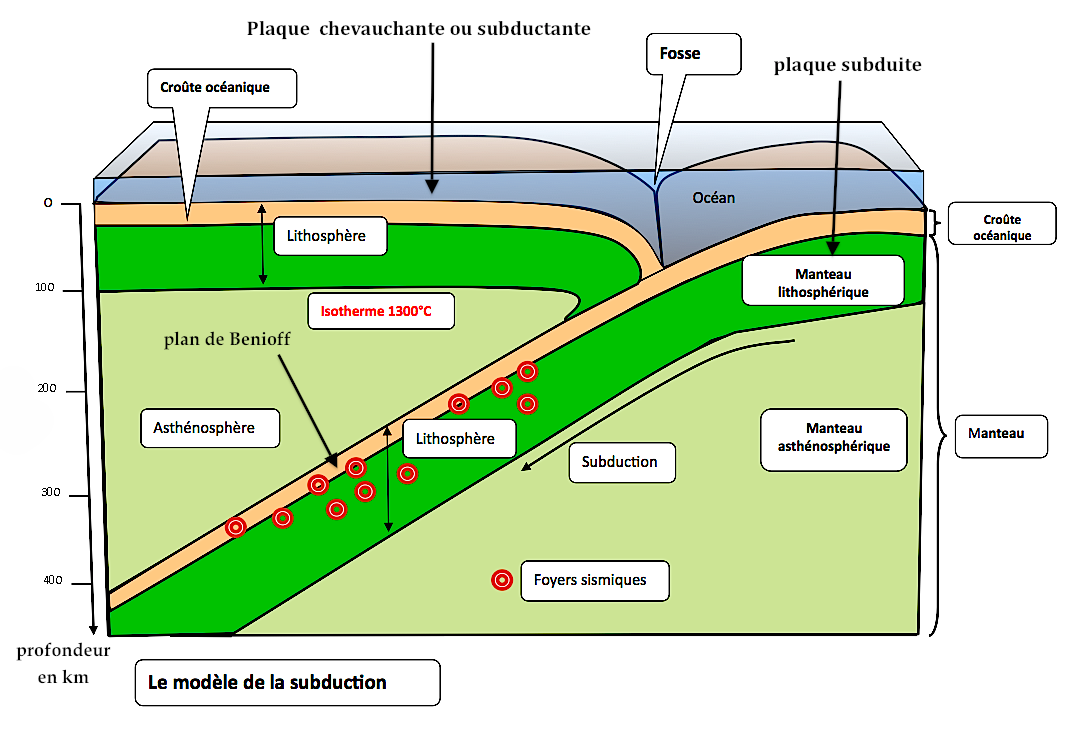 Quoi de neuf en SVT ? par Maître Corydon Muttaburrasaurus: Révisions de ...
