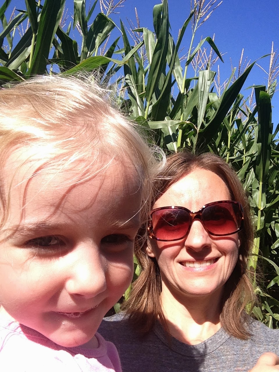 Superheroes and Princesses: Escobar Farm Corn Maze