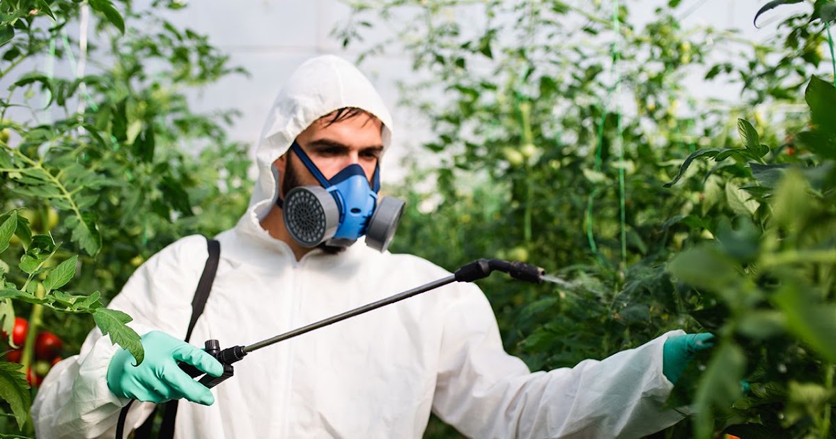 TIPOS DE INSECTICIDAS