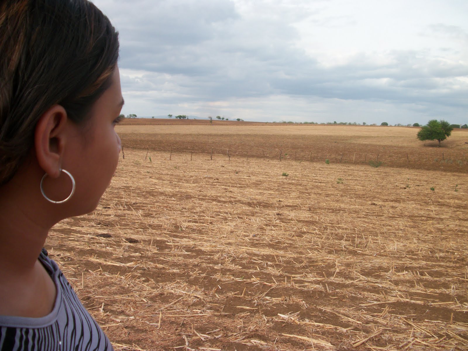 fotografia: Tarea # 3 Tres leyes. Ley del Horizonte, Ley de la Mirada y Ley de 3/3