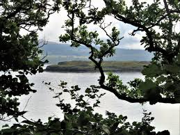 A Passing Glimpse - Poem by Robert Frost - The Short Lines