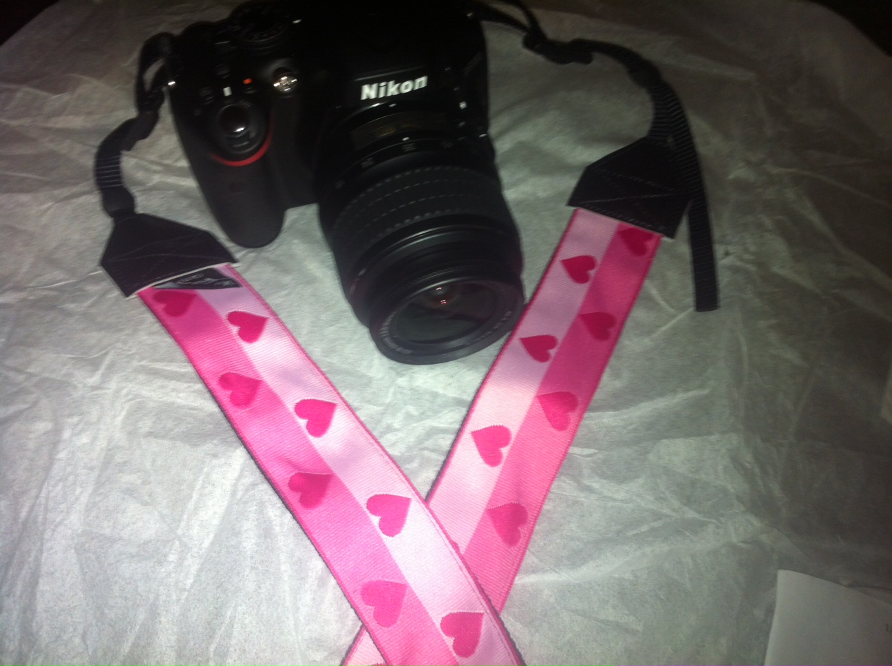 Adventures of Piglet Scooter: My Funky Camera Review and Giveaway