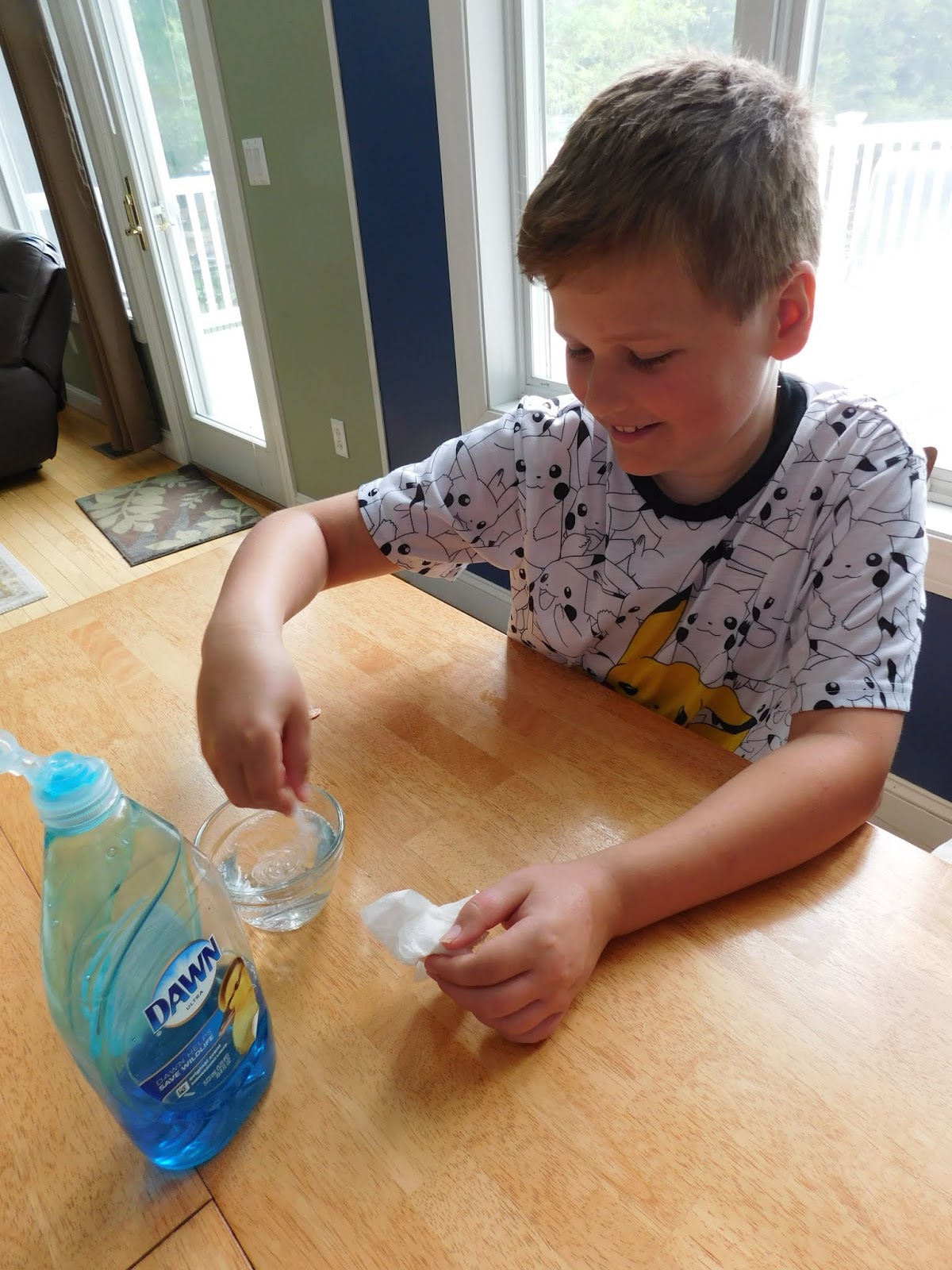 100 Days of Science #82 - 84-- Penny Saturation Experiments