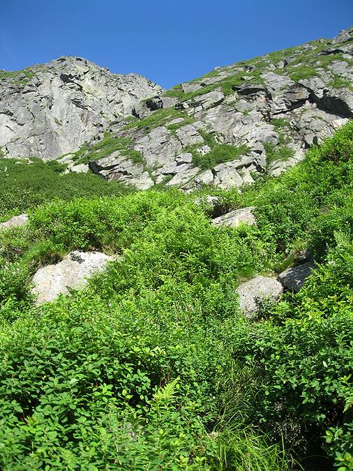Hiking in the White Mountains: 'The Beasts of the East' ~ Huntington ...