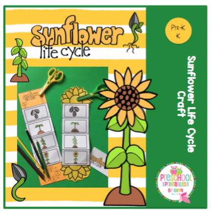 Sunflower Life Cycle Craft ~ Preschool Printables