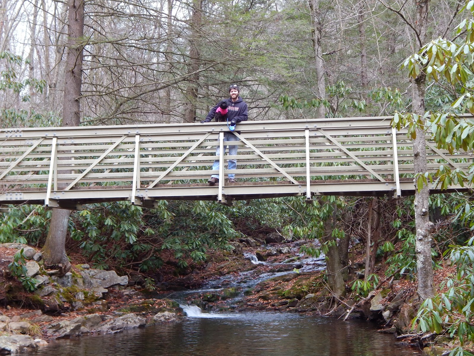 Those Who Wander: Hawk Falls Trail