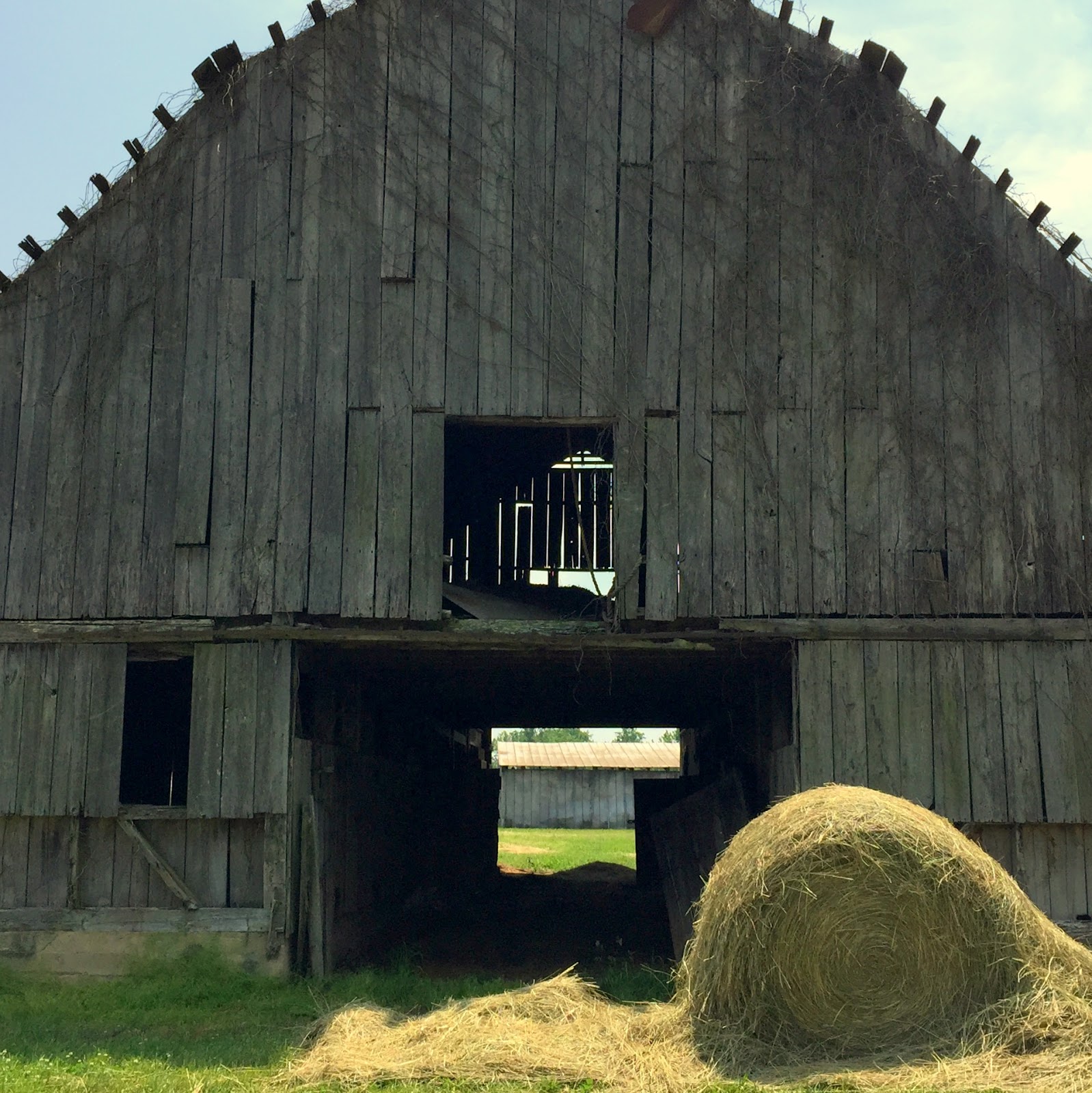 OBSERVATIONS WORKSHOP: WEATHERED COUNTRY HAY BARN
