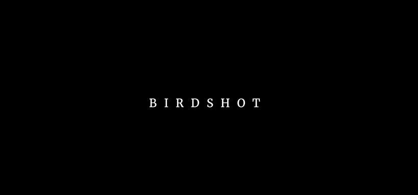 Mikhail Red's BIRDSHOT Now Available on Netflix