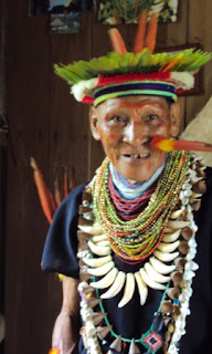 La Amazonía: auténtica conexión con la naturaleza | EntreTintas