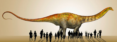 Species New to Science: [Paleontology • 2015] A Specimen-Level ...