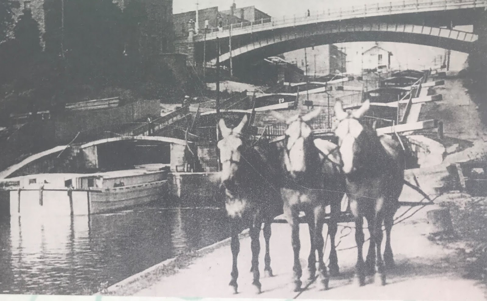 Last Muleskinner on the Erie - Slow Boat