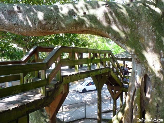 Puerto Rico, Isla Bella !!!: Parque Colón {Aguadilla}