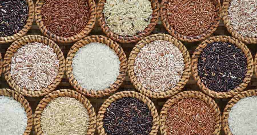 #3 பாரம்பரிய நெல் வகைகள்