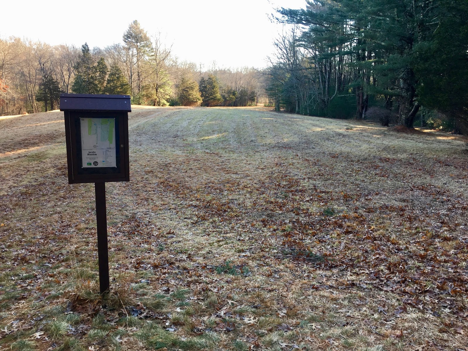 Nature: February 2020