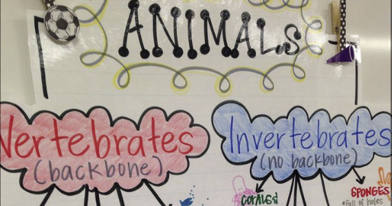 MARTUNIVERSE: VERTEBRATES POSTERS