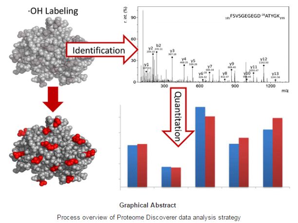 News in Proteomics Research: FPOP (and lock) footprint quantification!
