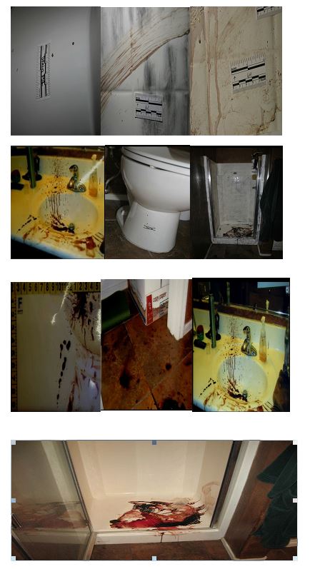 Morbitbuzz: The Crime Scene! It's a bloody mess!!