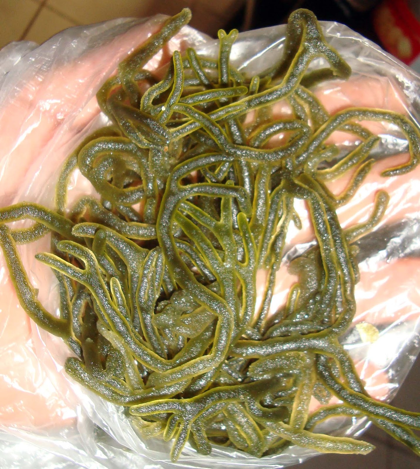 Naturalism - the Eighth Sense: Pukpuklo (Codium edule) - A Sea ...