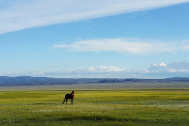 Bioma-Bioma di Dunia