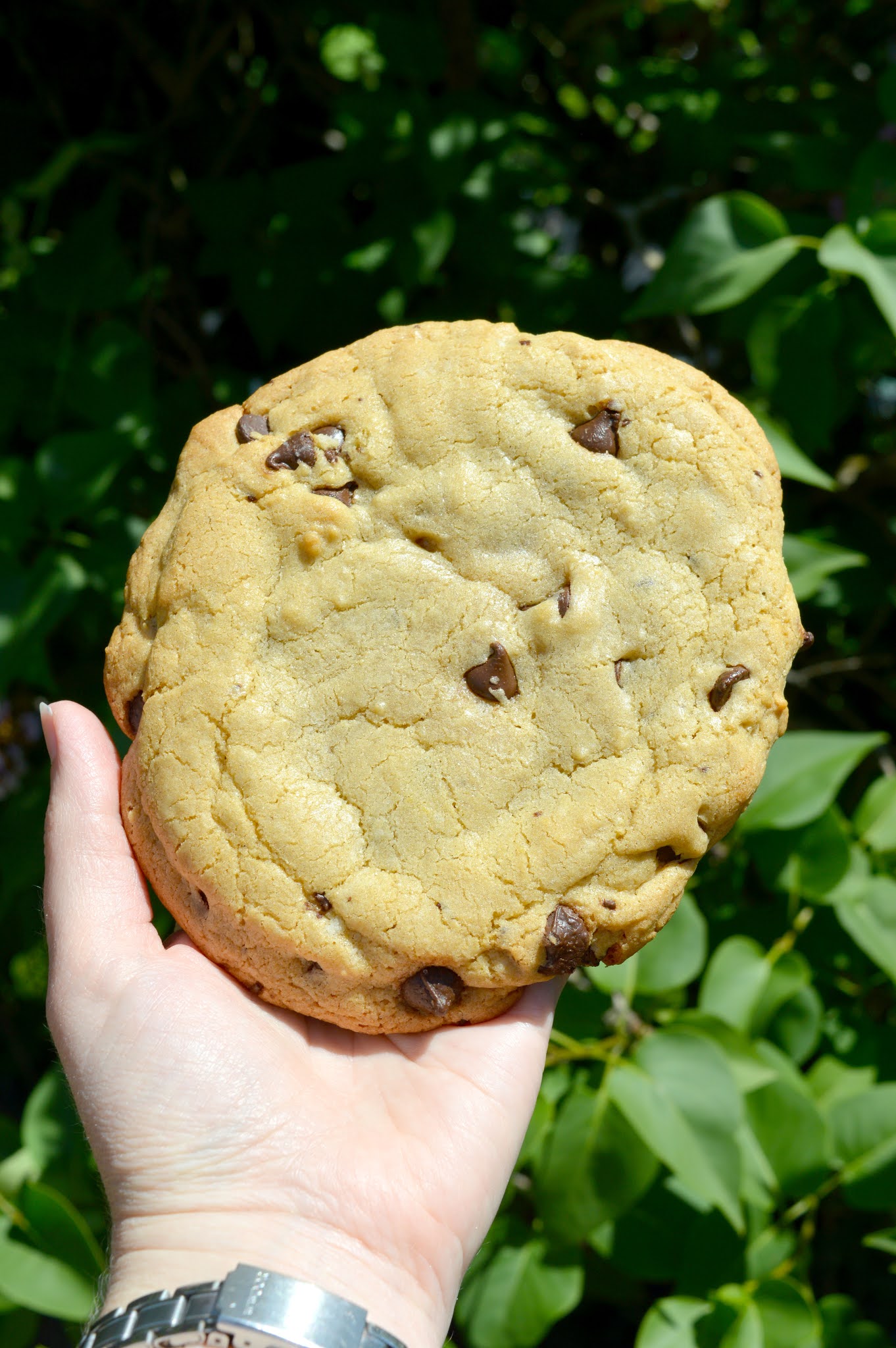 How to make one huge cookie for National Chocolate Chip Cookie Day