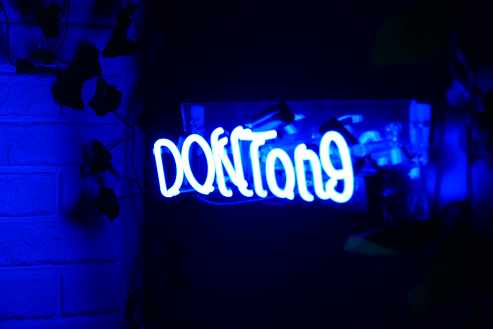 The Best Neon Lights For Your Bedroom- Naaaaaaa Review - fantail flo